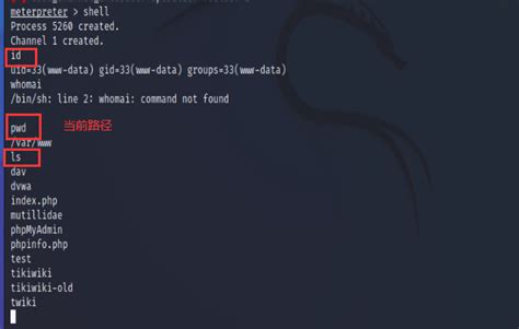 《网络攻击与防御》 Linux攻击实验（4）metasploit攻击linux Csdn博客