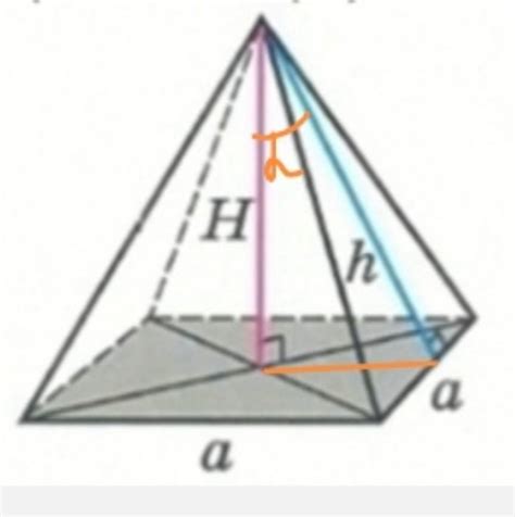 В правильной четырёхугольной пирамиде угол между высотой пирамиды и апофемой 45о сторона