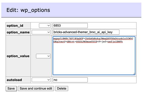 Your Api Key Is Securely Stored Advanced Themer