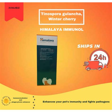 Himalaya Immunol Syrup Original Immunol Syrup Green Box Immunol Syrup