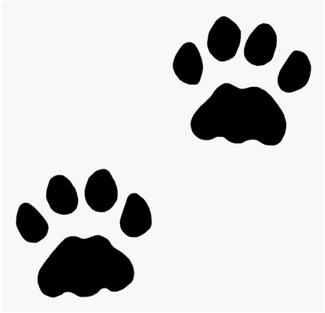 Cat Paw Prints