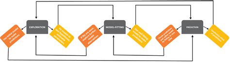 Mathematical Model New Mathematical Model Identifies Role Of