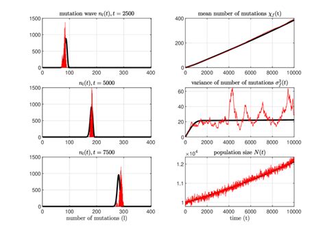 Comparison Of Deterministic Versus Stochastic Modelling For Evolution