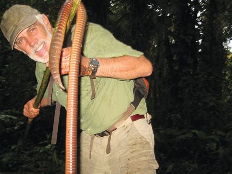 Giant African Earthworm