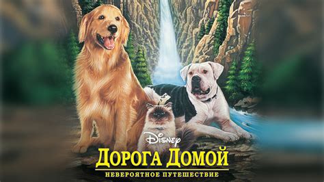 Фильмы про собак смотреть плейлист все 16 видео подборки от Фильмач — фильмы и сериалы