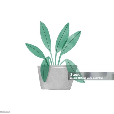 화분에 수채화 손 페인트 집 녹색 식물 흰색에 고립 된 꽃 엘렘트 프린트 포스터 카드 제작 및 스크랩북 디자인에 완벽한 장식 녹지 컬렉션 수채화에 대한 스톡 벡터 아트 및