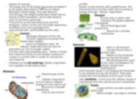 SOLUTION Module Biology Cells Structure And Function Studypool