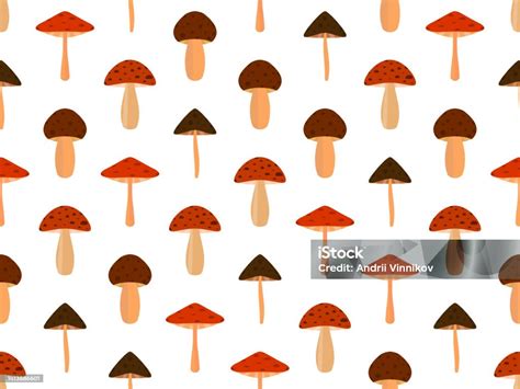 버섯 이음새가 없는 무늬 다양한 버섯 식용 및 두꺼비 유독 한 버섯과 환각 성 파리 아가릭 배너 및 판촉 품목을위한 디자인 벡터