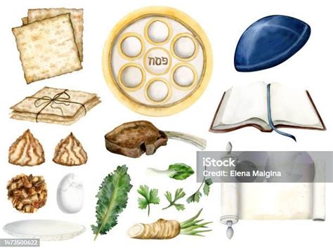 수채화 삽화의 유월절 요소 세트 유대인 유월절 세더 음식 학가다 두루마리 토라 책 맛자 개체 그룹에 대한 스톡 벡터 아트 및