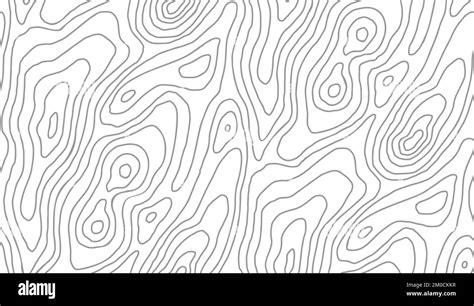 Topographic Map Contour Background Topo Map With Elevation Contour Map Vector Geographic