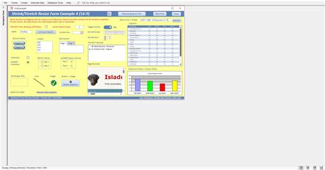 Automatic Form Resizing 4