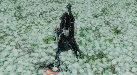 Echosong Eorzea Collection