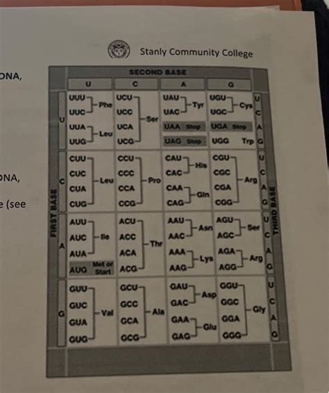 Solved 6 Provided The Following Nucleotide Sequence For A Chegg Com