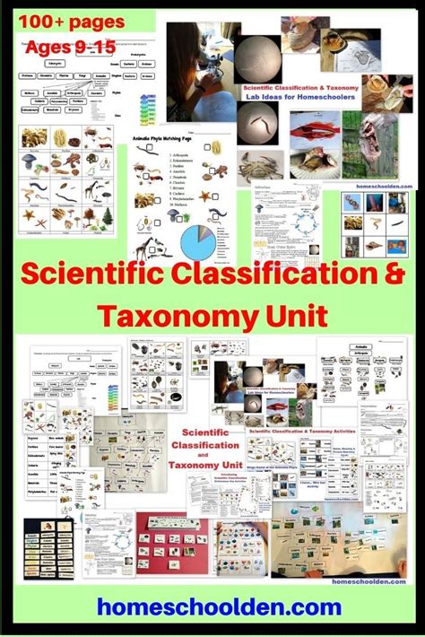 Scientific Classification Unit Artofit