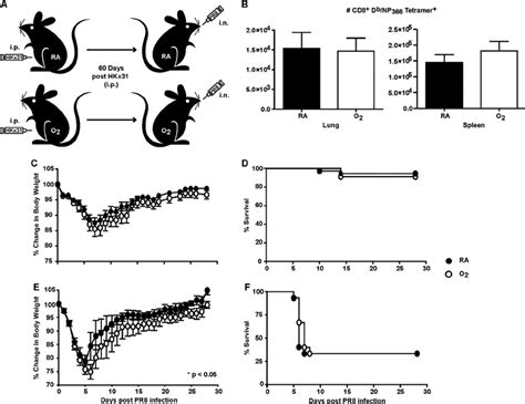 Virus Specific Memory T Cells Reduce Oxygen Mediated Morbidity And Download High Resolution