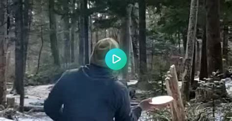 Does Imgur Like Disc Golf Album On Imgur