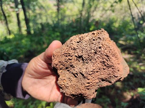 น ส ดวงพร เกียรติดำรง หัวหน้าอุทยานแห่งชาติเขลางค์บรรพต เตรียมการ พร้อมคณะเจ้าหน้าที่ ร่วมกับ