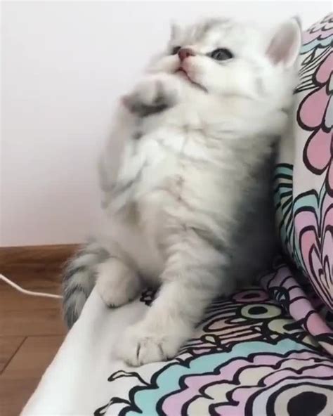 No Touchy Touchy ️ Scrolller