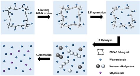 Biodegradation In Composting Conditions Of Pbeas Monofilaments For The