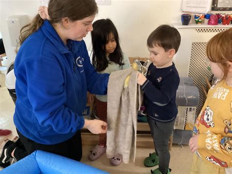 Duck Hatching Life Cycle Of A Duck