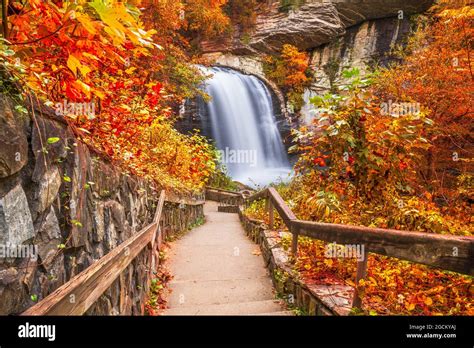 Pisgah National Forest Fall Foliage At Virginia Nealon Blog