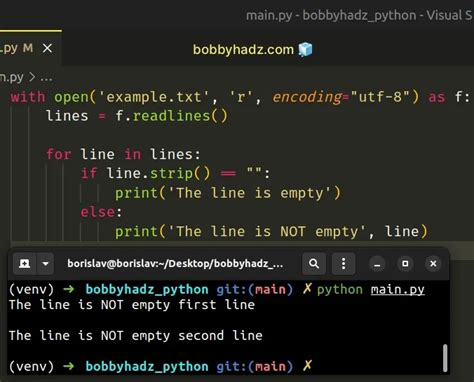 How To Check If A Line Is Empty In Python Bobbyhadz