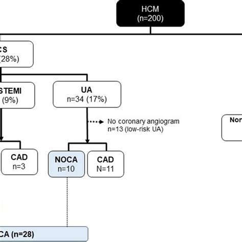 The Proportions Of Acute Coronary Syndrome And Its Subtypes Download Scientific Diagram