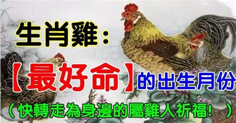 生肖雞：不同月不同命，哪個月的屬雞人命最好 好運發財網