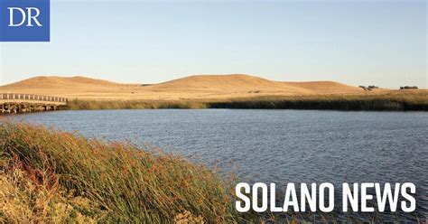 Pv Fire Council Gets 15k Grant For Fire Fuel Reduction News