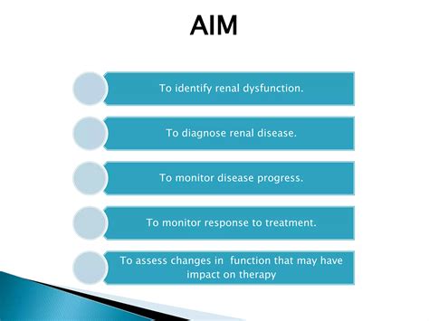 Renal Function Tests Pptx