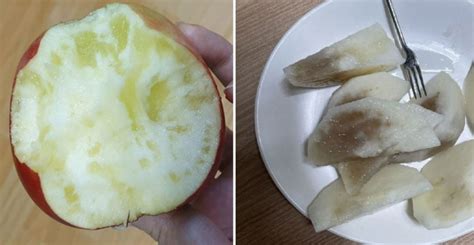 사과·배에 누런 얼룩이 꿀이라던데… 진실은 [주방 속 과학] 당신의 건강가이드 헬스조선