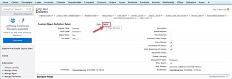 Delete Custom Object Salesforce