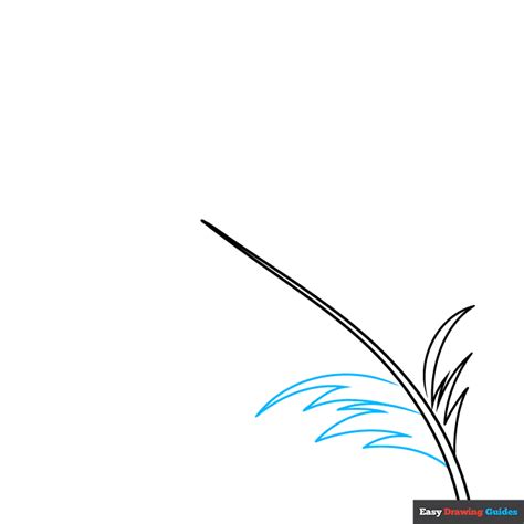 How To Draw A Peacock Feather Really Easy Drawing Tutorial