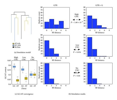 Simulation Model And Results A Tree From Which The Sequences Were