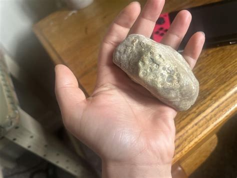 Oddly Bumpy Rock R Whatsthisrock