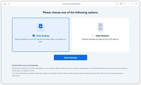 Tenorshare Reiboot Guide How To Backup And Restore Iphone Data