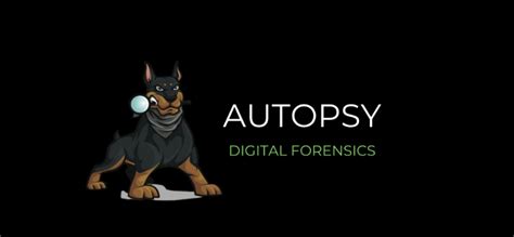 Cybersecurity Autopsy Unveiling Digital Forensics