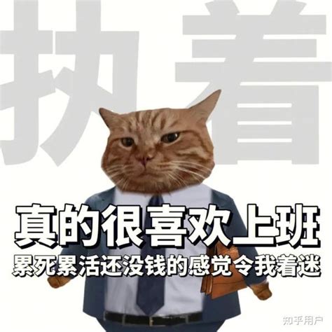 String类型你了解多少？【用法总结大全】 知乎