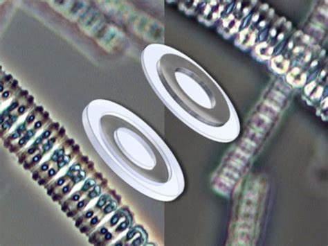 Phase Contrast Nikons MicroscopyU