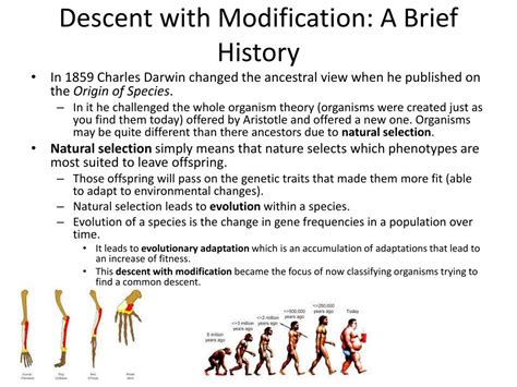 Ppt Descent With Modification A Brief History Powerpoint Presentation Id 2021540