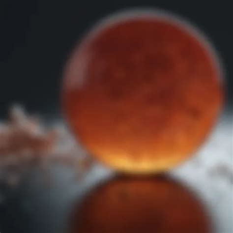 Understanding Genotype Testing Insights And Implications