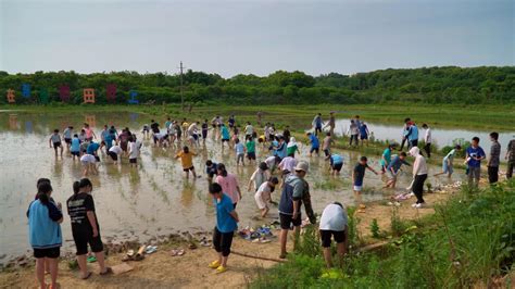 劳育活动精彩纷呈，助力学生全面发展 ——我校开展劳育研学实践活动 华中农业大学附属学校