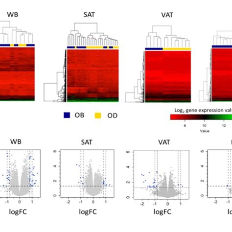 Figure S4 Differential Gene Expression A Hierarchical Clustering Download Scientific