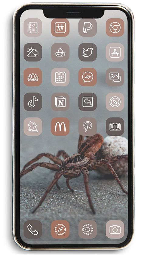 Web And App Design