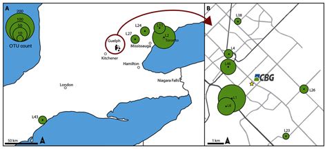 A Bright Idea—metabarcoding Arthropods From Light Fixtures Peerj