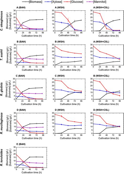 Growth Rates And Substrate Consumption Of Each Yeast Strain In The
