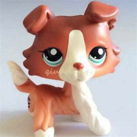 Nioni Wiki Lps Amino