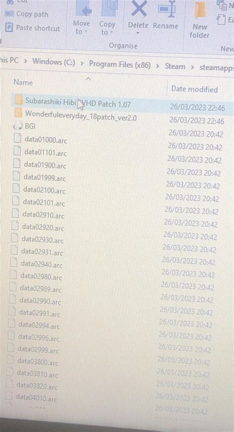 Is This The Right Way To Install Patches They Are Unzipped R