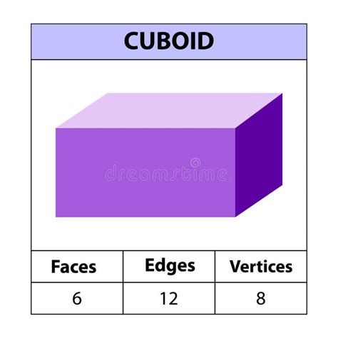 Cuboid Faces Edges Vertices Geometric Figures Set Isolated On A White Backdrop 3d Shapes