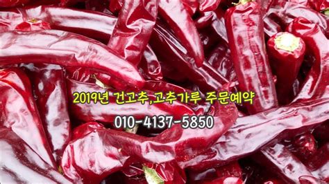 고추모종 키우기 고추 파종 시기 By 고추 재배 Youtube